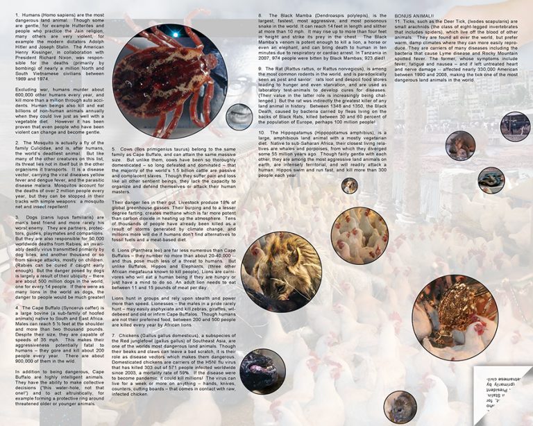 Deadliest Animal – flawed art