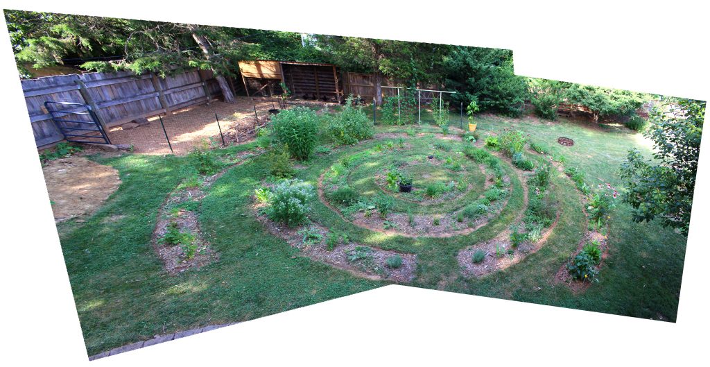 Medicine LAByrinth – Spora Studios